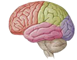 CMSI 185 Computer Programming: Syllabus